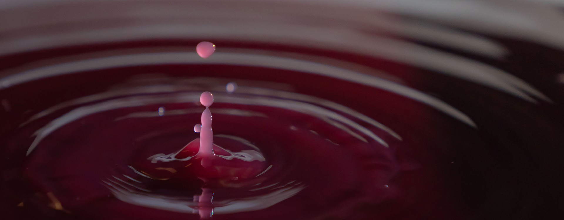 Vini della Valpolicella DOC e DOCG - Cesari